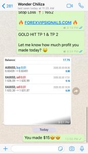 Forex Wonders: Trader Chronicles