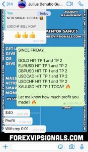 From Doubts to Dollars: Forex Narratives