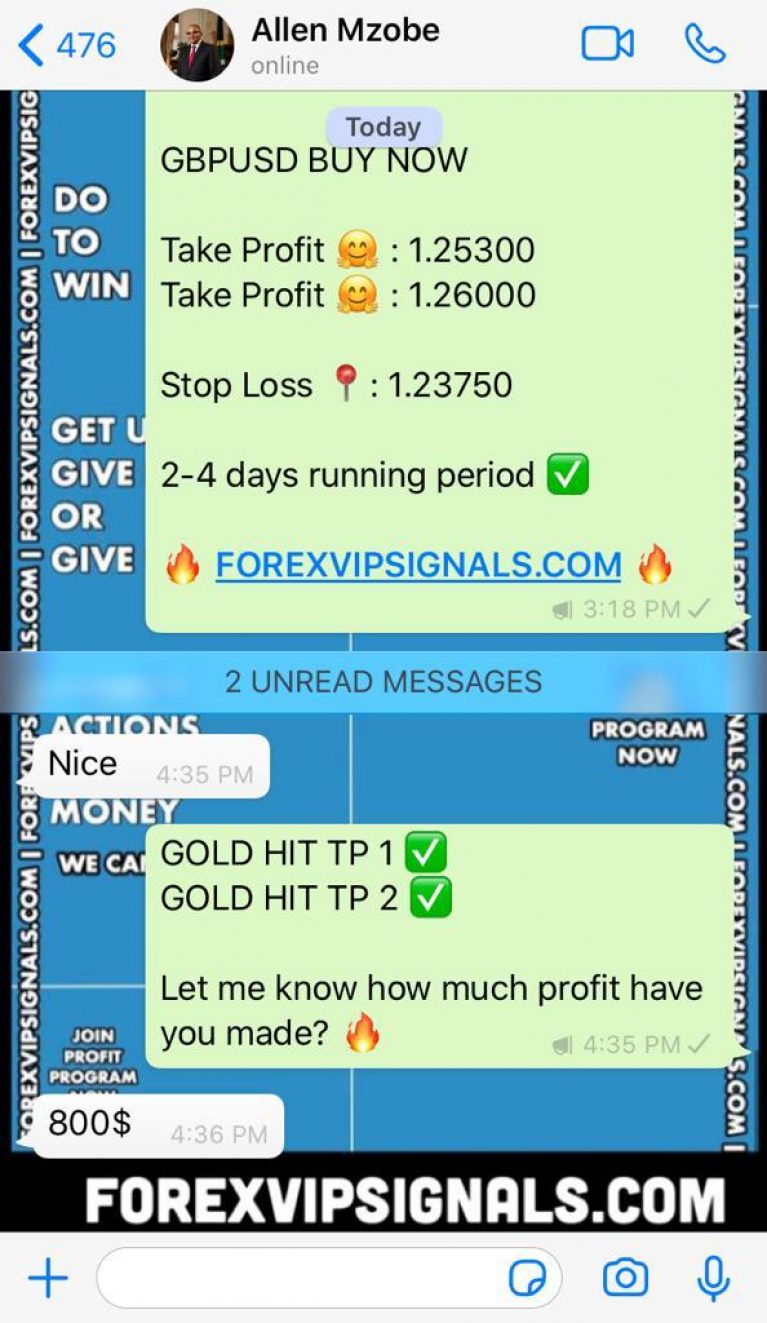 Forex Flourish: Brief Tales of Victory