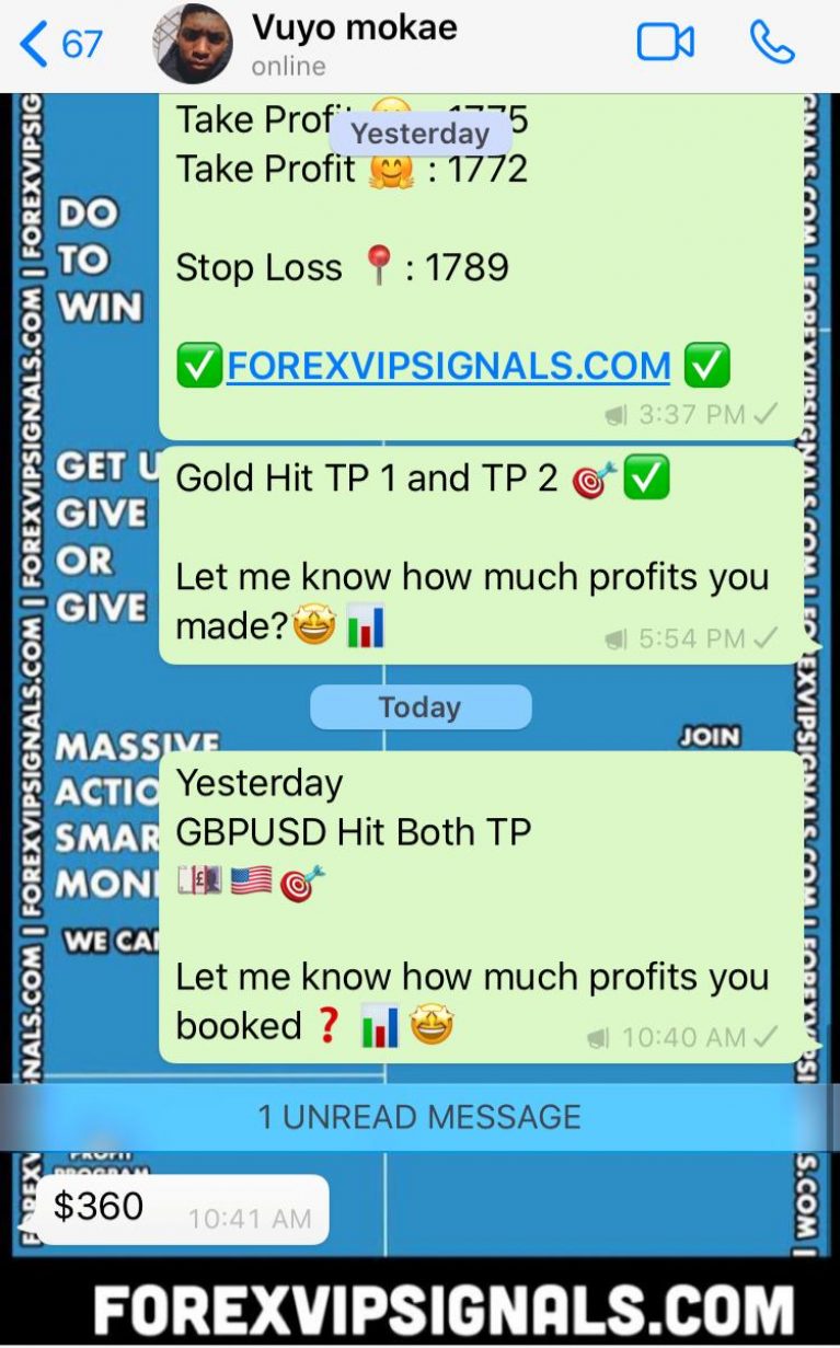Forex Mastery: Strategies That Work