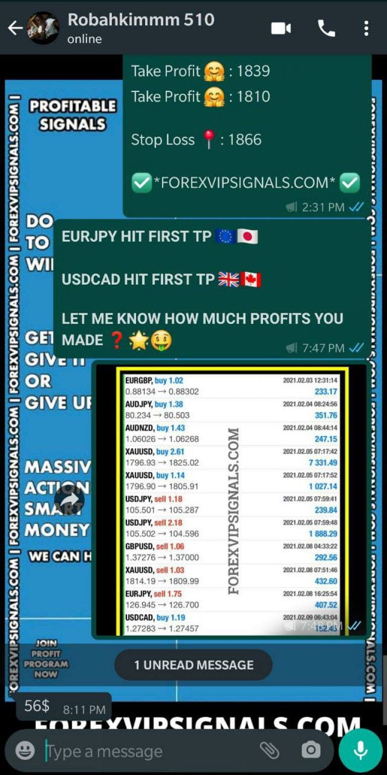 best signal forex telegram | Forex Vip Signals